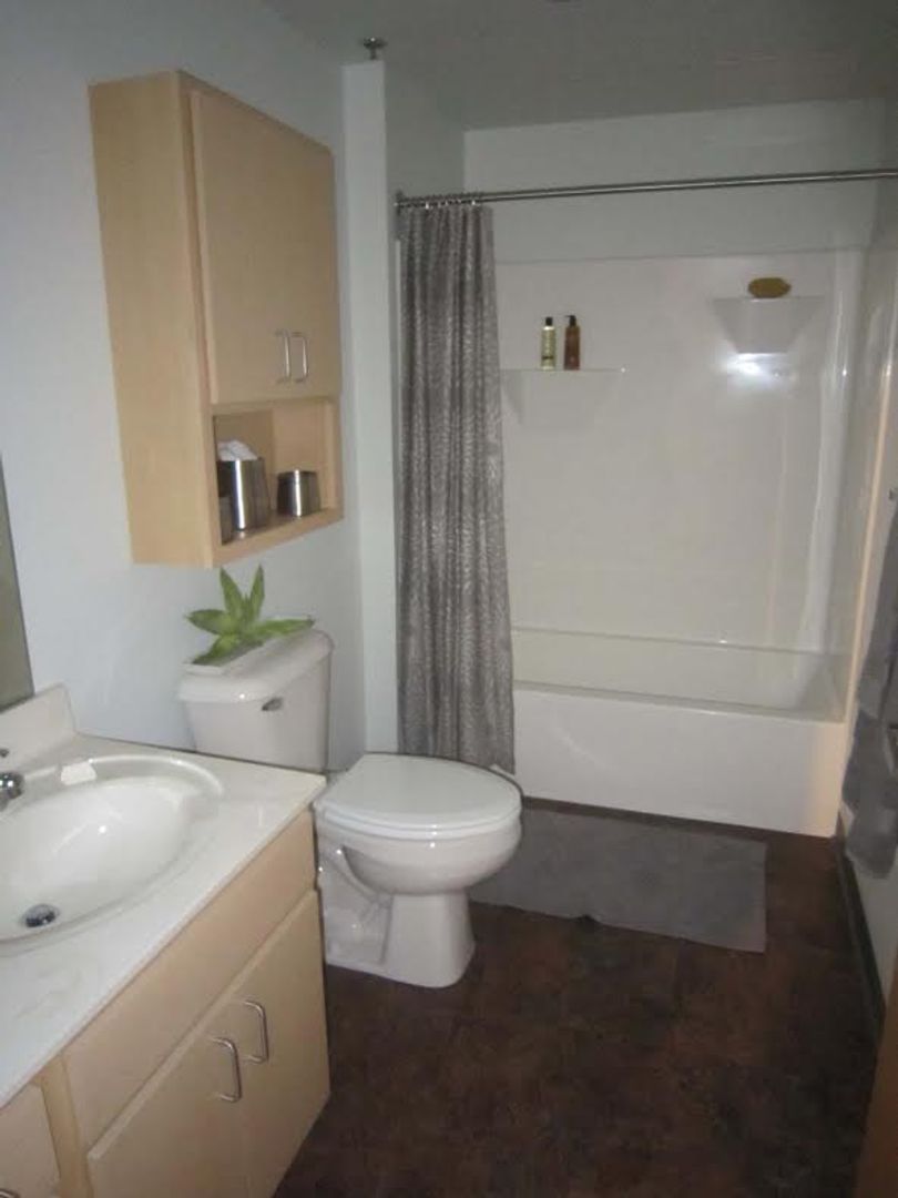 1216 Spring St, Apt 311, Madison, WI 53715-1121