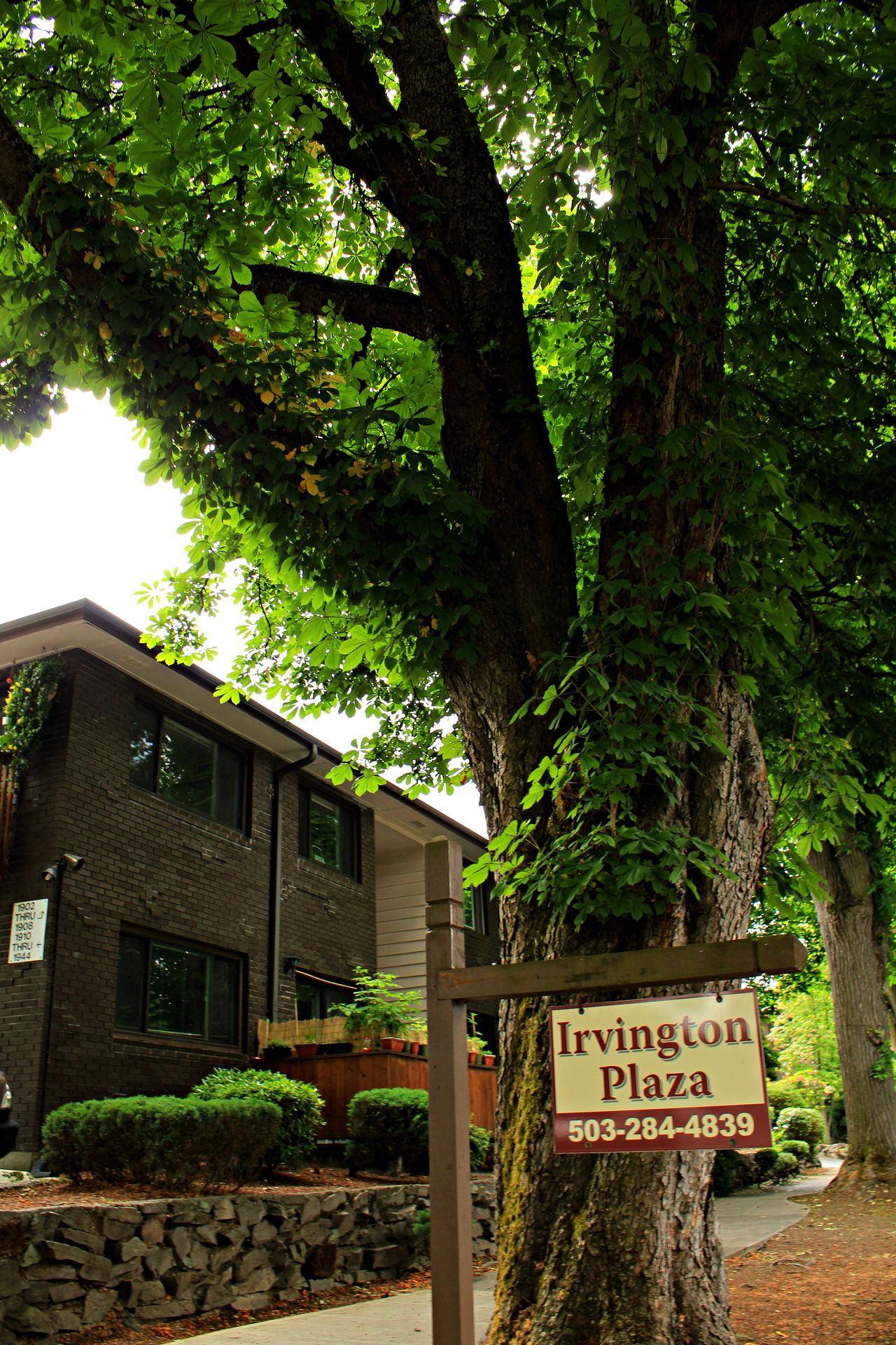 Irvington Plaza Apartments, 1902 - 1944 NE 17th Avenue, Portland, OR 97212